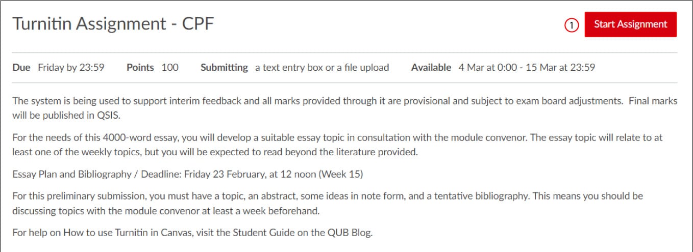 Student Turnitin Guide in Canvas - Queen's DigiHub