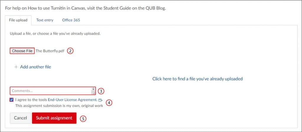 Student Turnitin Guide in Canvas - Queen's DigiHub