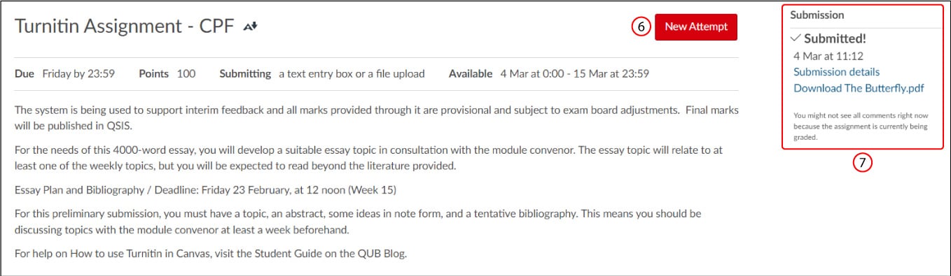 Student Turnitin Guide in Canvas - Queen's DigiHub