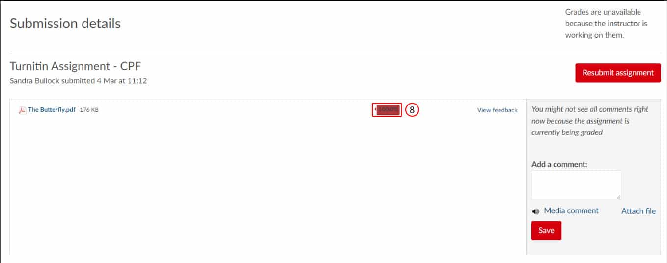 Student Turnitin Guide in Canvas - Queen's DigiHub