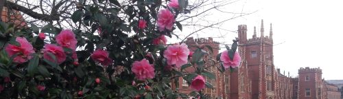 admin | DIPSA: Data-Intensive Parallel Systems and Algorithms