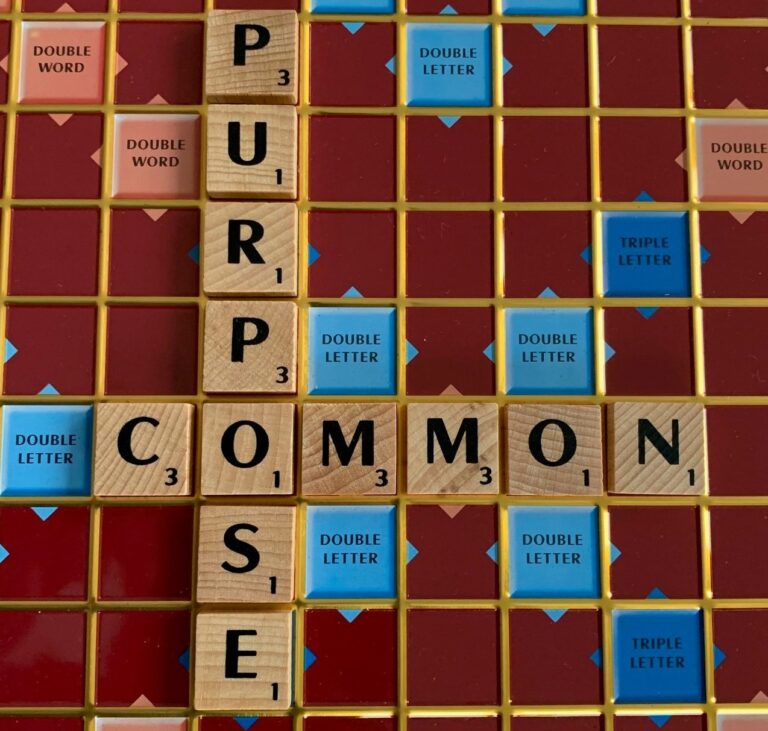 Engaging with Complexity: the Common Purpose Framework for the ...