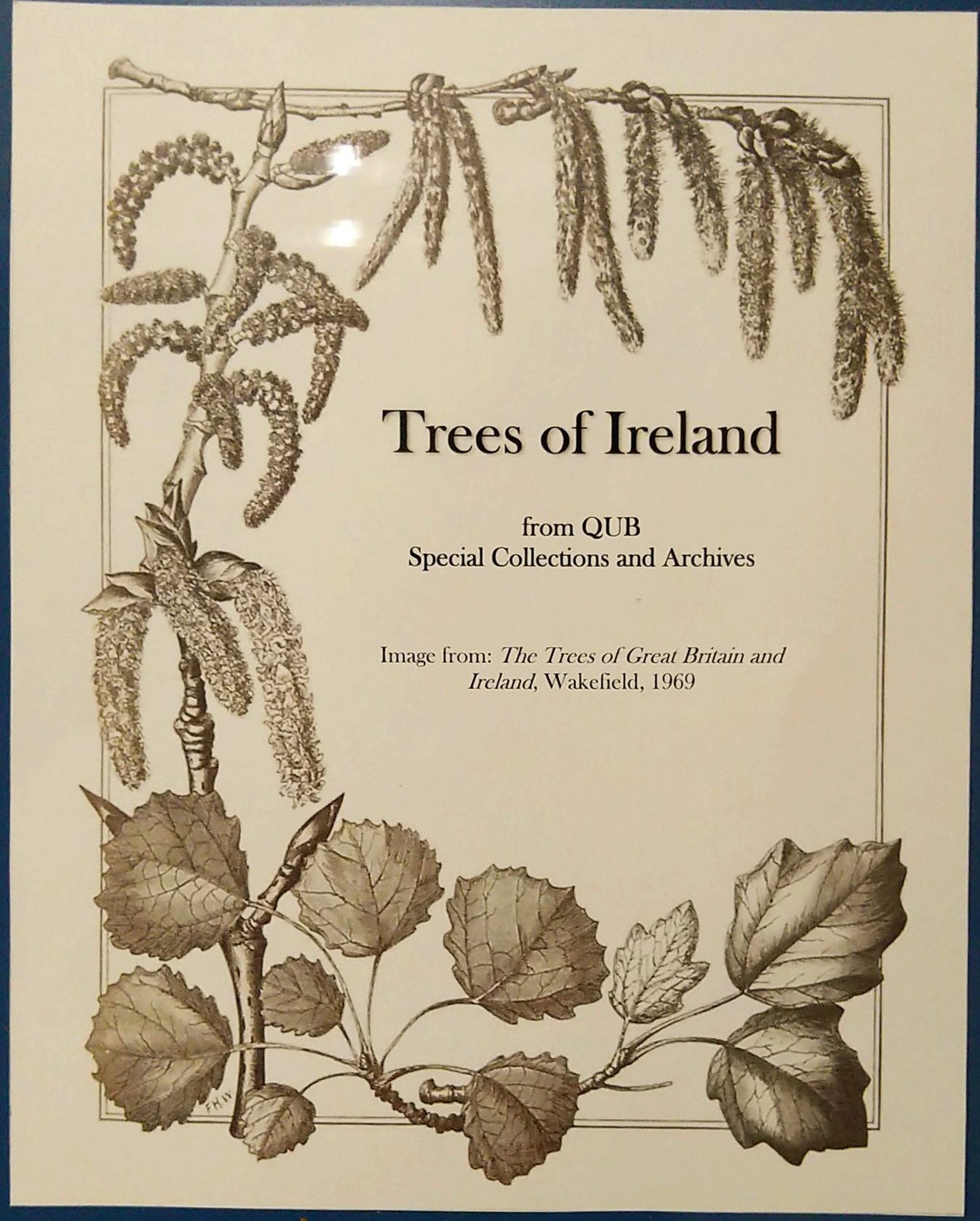 Trees of Ireland Display – Special Collections Blog at Queen's ...